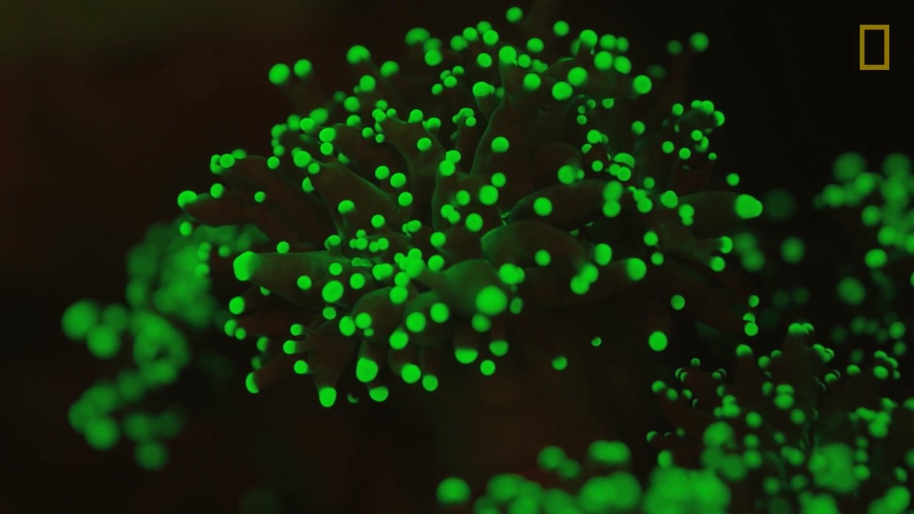 Invisible Light Show